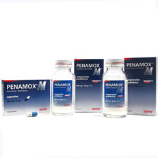 Penamox M, amoxicilina, antibiótico, cápsulas, suspensión, Sanfer, RX ...