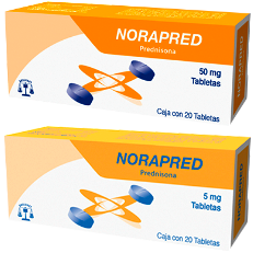 NORAPRED | actuamed