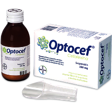 Optocef, cefalexina, antibiótico, suspensión, Bayer, RX-antiinfecciosos